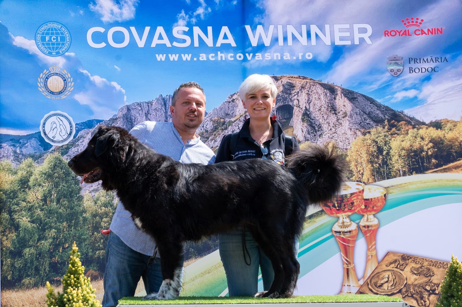 Ciobănesc Românesc Corb - Canisa de Țara Bârsei